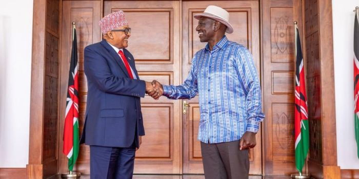 Ruto Meets Somaliland President Abdirahman Mohamed Amid Diplomatic Tensions - Kenyans.co.ke